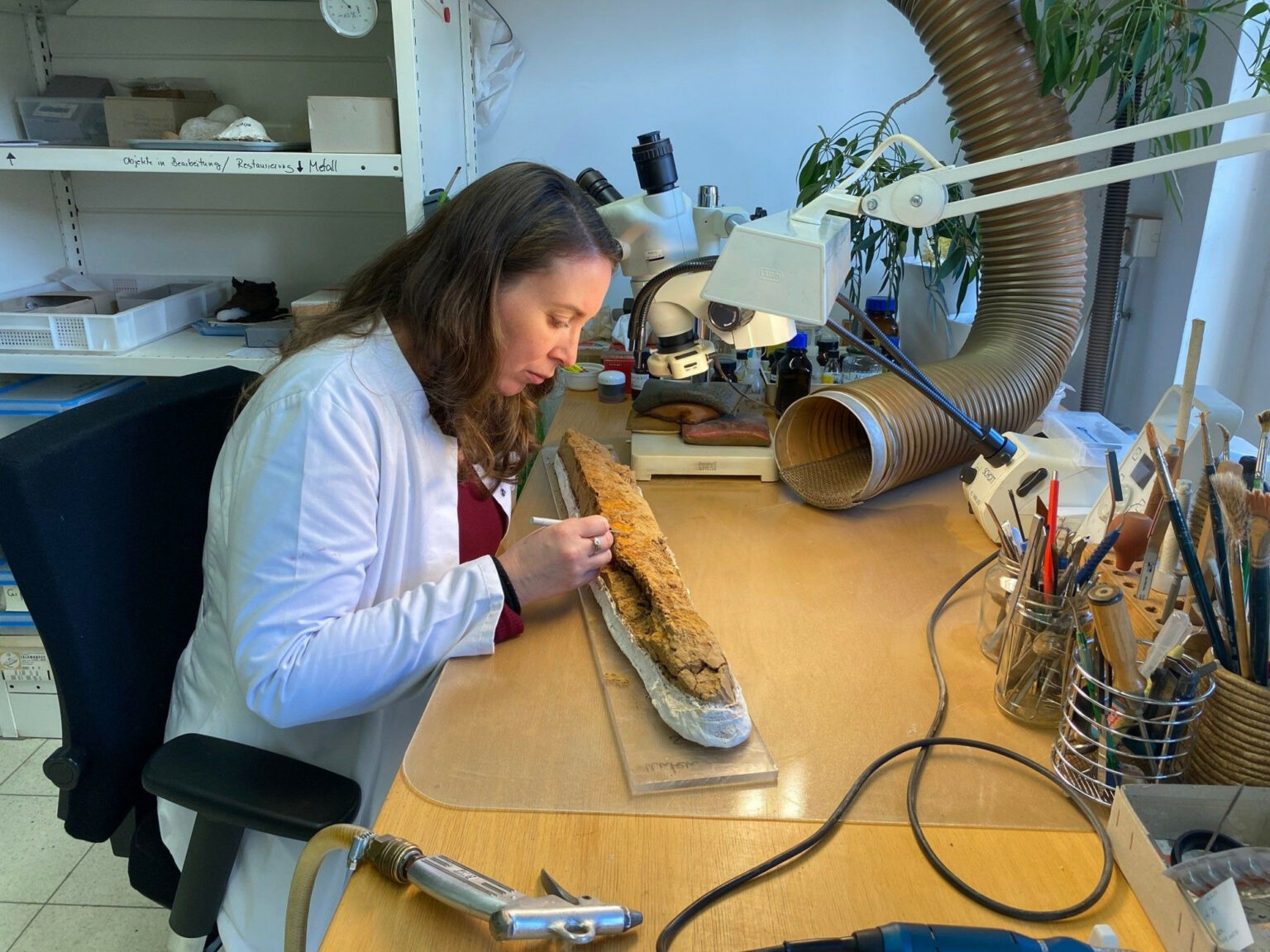 1250 Jahre Westfalen - Der Dom